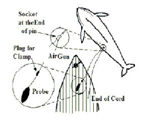 WEOS (Whale Ecology Observation Satellite) - eoPortal